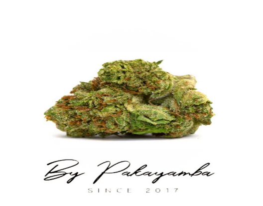 PLUTONIUM OG CBN | CBD pas cher | Code promo | Acheter du CBD en France | PAKAYAMBA – PAKAYAMBA ...